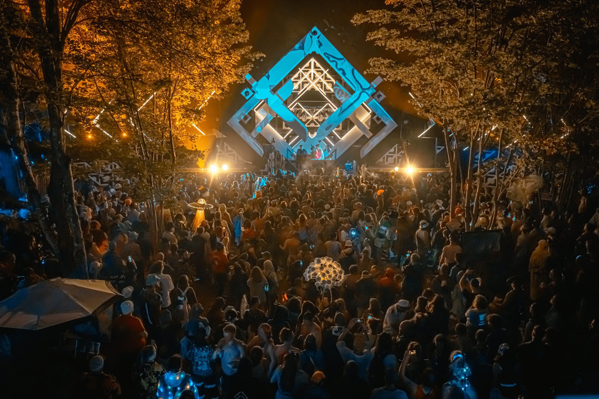 Explore the Wild Future Forest Location: On Little River