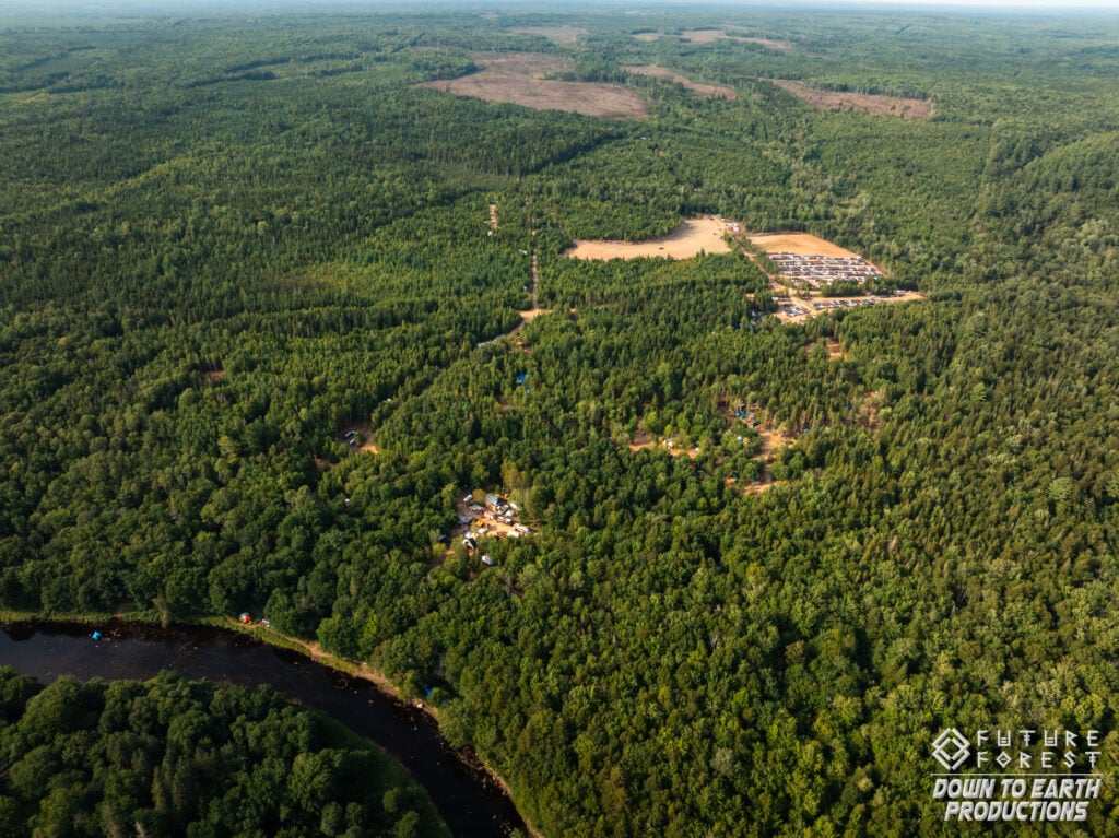 Explore the Wild Future Forest Location: On Little River